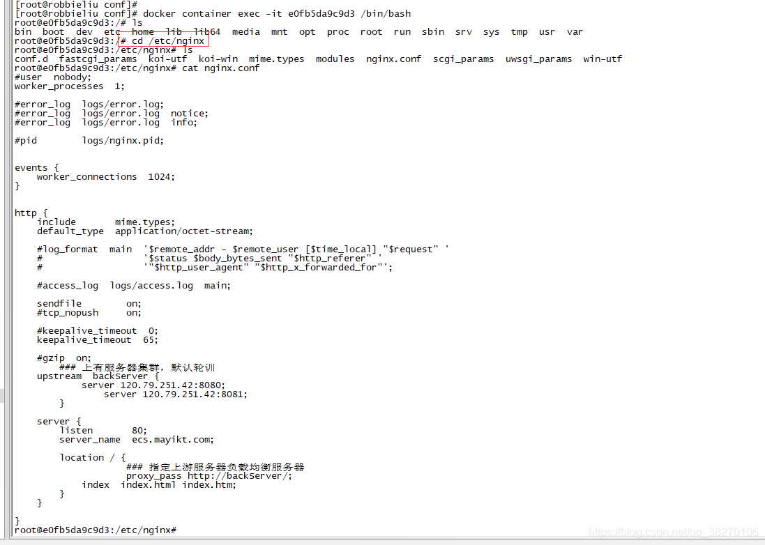 使用docker安装部署nginx创建1台 Ecs ，安装 Docker 环境，启动 Nginx 容器，挂载 Nfs Csdn博客
