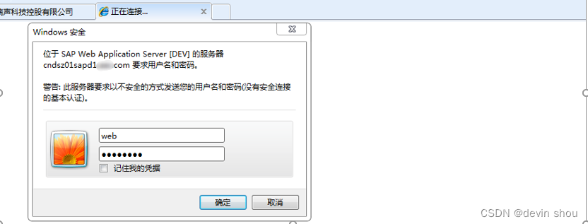 Domino调用SAP Web Service接口_hcl domino 开发连接web services-CSDN博客