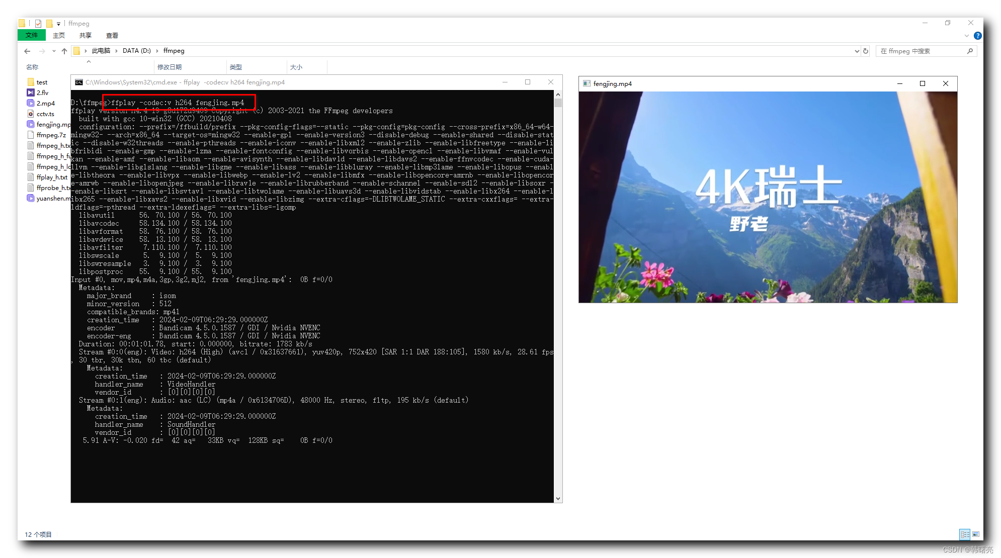【ffmpeg】ffplay 命令行参数 ⑥ 设置播放完毕自动退出 Autoexit 参数 设置多媒体解码器 Codec 