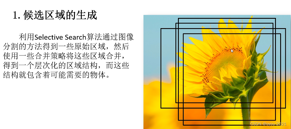 关于Faster-RCNN_fasterrcnn参数量-CSDN博客