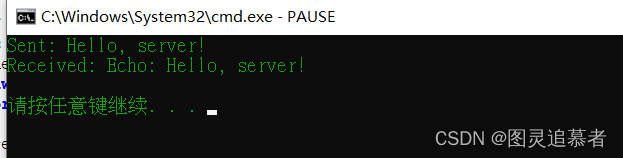 python使用websockets进行数据传输_pythoncrc json5 websockets-CSDN博客