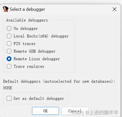 关于ida如何进行远程linux调试(详解)_ida远程调试linux-CSDN博客