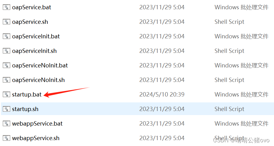 当我们用SkyWalking本机启动的时候java.lang.UnsupportedClassVersionError: org/apache ...