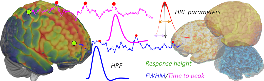 matlab软件 rs rsh在哪,Python rsHRF包_程序模块 - PyPI - Python中文网-CSDN博客