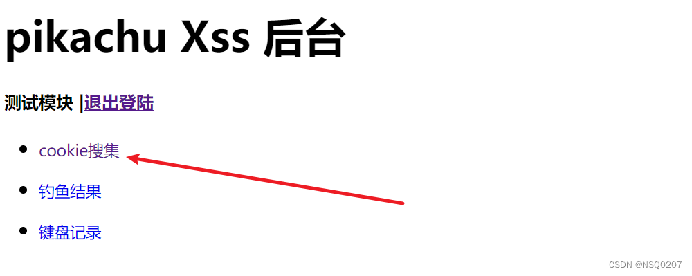 XSS+cookie-CSDN博客