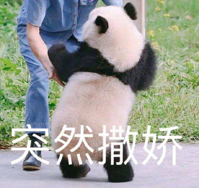 JavaScript之WebAPI_webapi js-CSDN博客