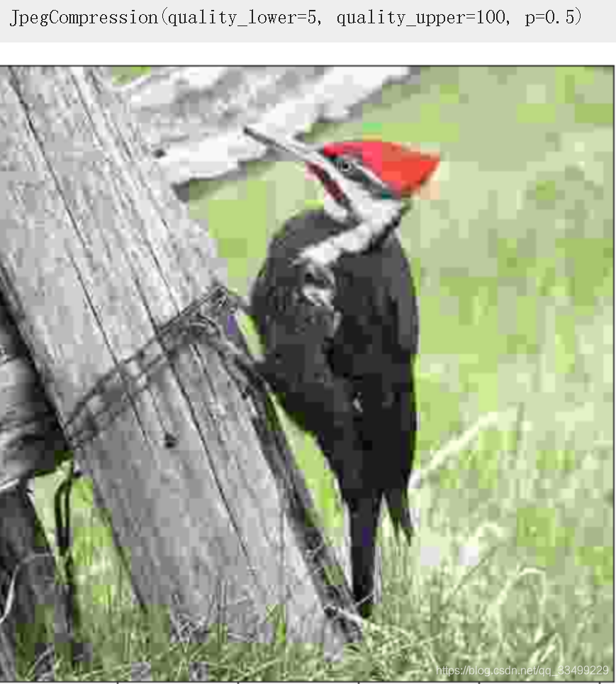 Albumentation使用指南-CSDN博客