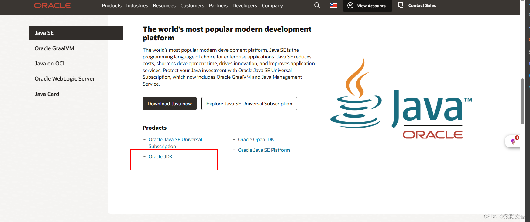 java JDK(21)安装_java21 jre-CSDN博客