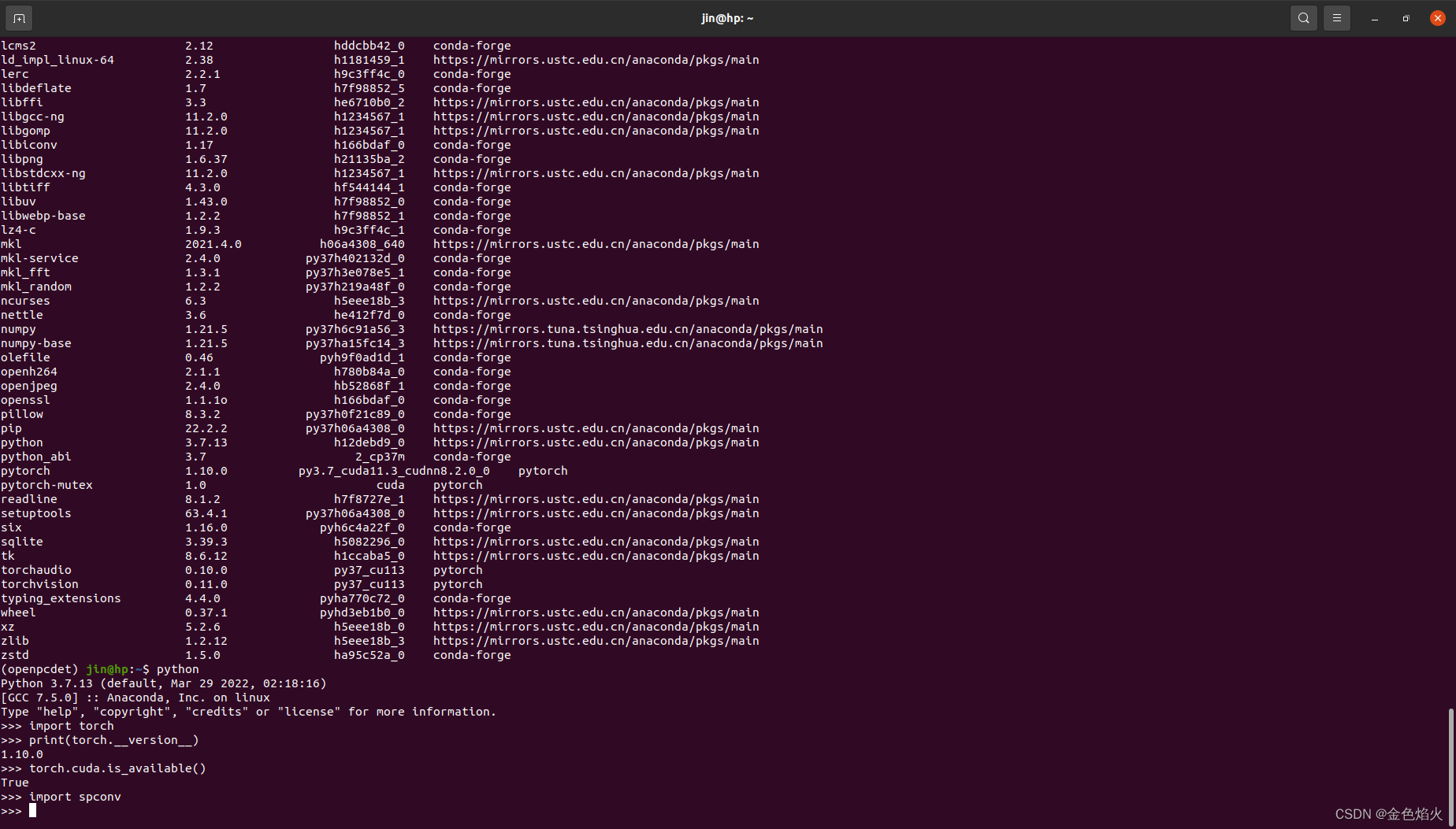 openpcdet实现3D目标检测_kitti velodyne 000517.bin-CSDN博客