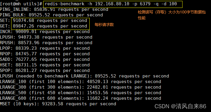Redis介绍、安装、性能优化_redis-benchmark install-CSDN博客