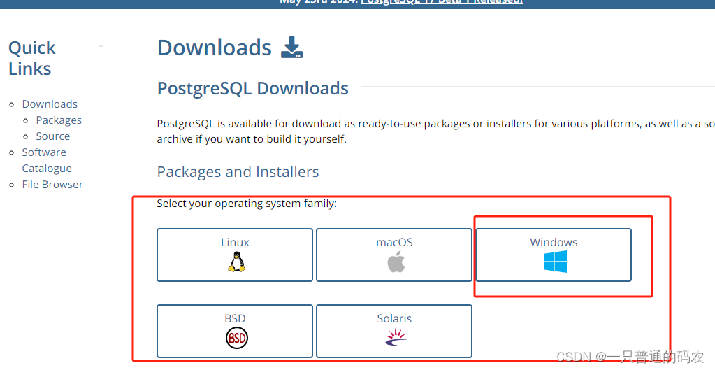 postgresql安装教程_postgory工具安装-CSDN博客