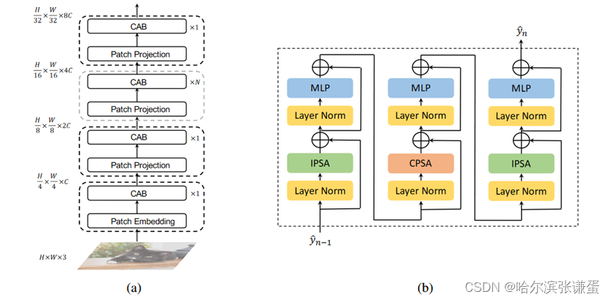 深度学习之图像分类（十四）CAT: Cross Attention in Vision Transformer详解-CSDN博客