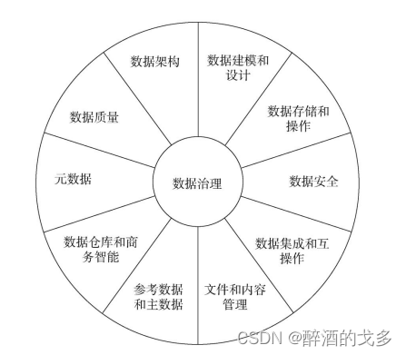 DAMA-DMBOK2重点知识整理CDGA/CDGP——第1章 数据管理-CSDN博客