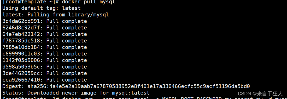 Docker中安装mysql Docker Mysql Secret Pw Csdn博客