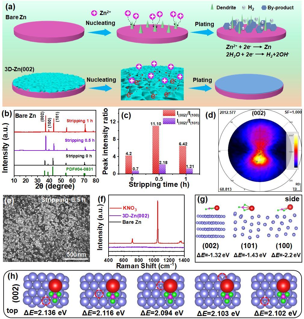 为超长寿命锌离子电池构建暴露Zn(002)晶面的3D锌阳极_锌阳极析氢抑制-CSDN博客