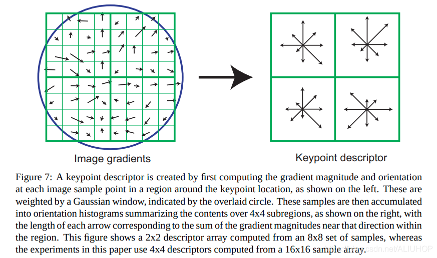 《Distinctive Image Features from Scale-Invariant Keypoints》（SIFT算法详解）-CSDN博客