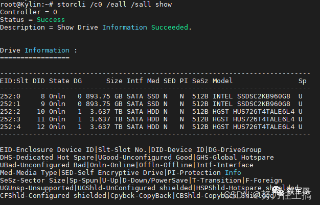 使用storcli/storcli64工具配置RAID-CSDN博客