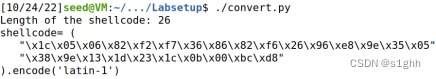 网络攻防技术-Lab5-shellcode编写实验(SEED Labs – Shellcode Development Lab)_网络攻防技术 shellcode-CSDN博客