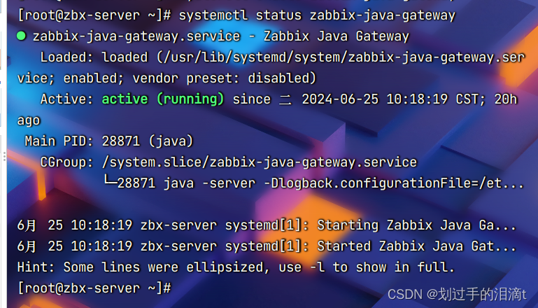 【zabbix】zabbix四大监控方式_zabbix jmx监控-CSDN博客