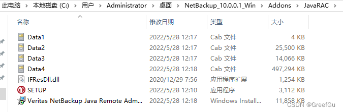 Veritas NetBackup10.1 windows安装-CSDN博客