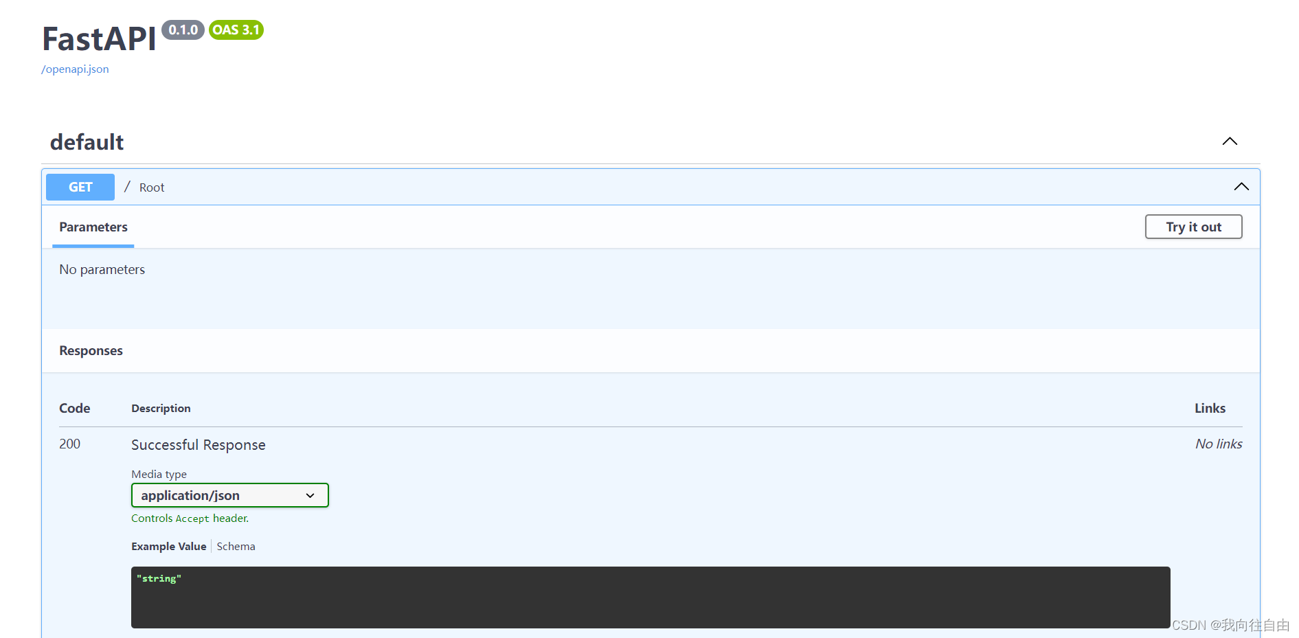 【最快入门】一篇文章学会Python最快框架fastapi_python fastapi教程-CSDN博客