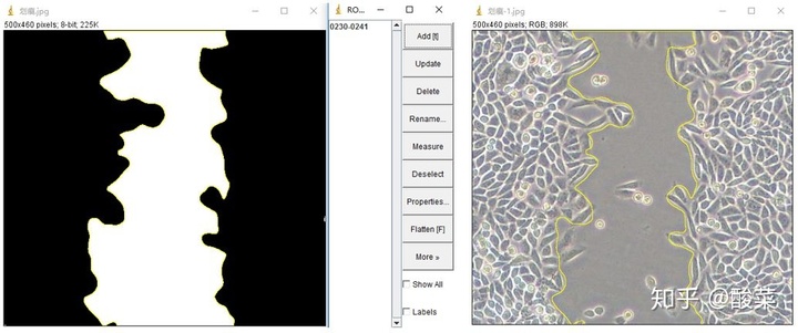 imagej得到灰度图数据_老司机带你解锁ImageJ划痕实验宽度分析-CSDN博客