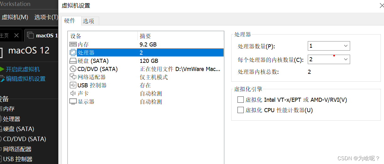 VMware16安装macOS12的几个问题解决：循环重启等_vmware安装macos13无限重启-CSDN博客