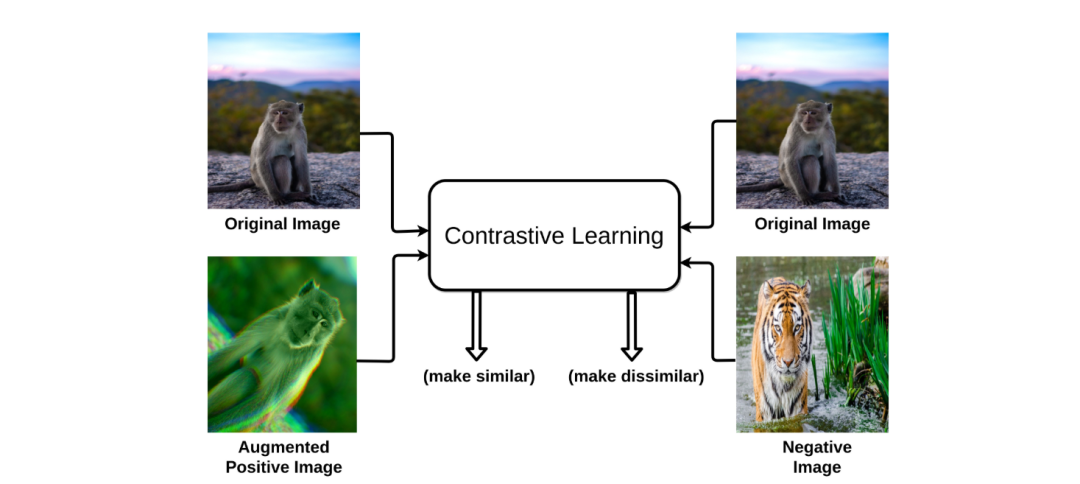 ViT：2 理解CLIP_vit clip-CSDN博客