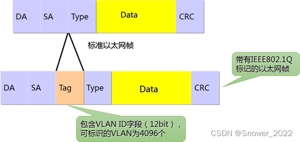 抓包分析802.1Q的封装（IEEE802.1Q)_802.1q 抓包解析 inbound pdu details-CSDN博客