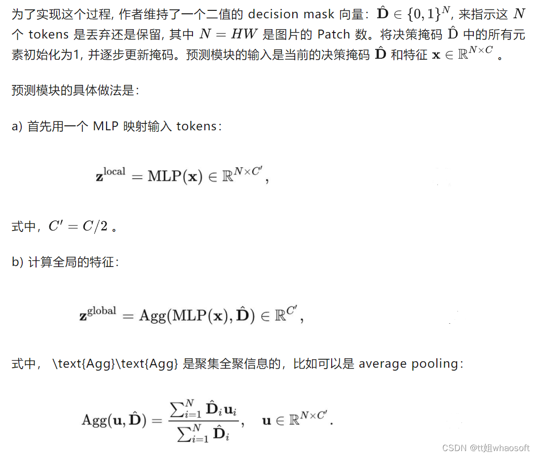 DynamicViT-CSDN博客