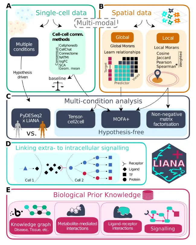 单细胞空间联合分析之SpatialScope_integrating spatial and single-cell transcriptomic-CSDN博客