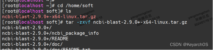 KeyarchOS系统下本地blast+安装与使用教程_blast建库-CSDN博客