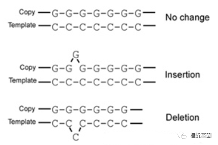 DNA 14. SCI 文章肿瘤微卫星不稳定性计算方法（MSI）-CSDN博客