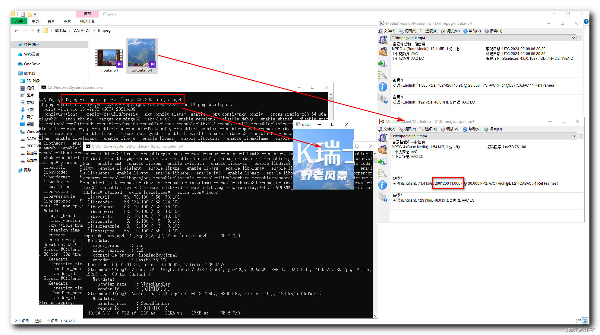 【FFmpeg】Filter 过滤器 ② ( 裁剪过滤器 Crop Filter | 裁剪过滤器语法 | 裁剪过滤器内置变量 | 裁剪过滤器常用用法 )_ffmpeg crop-CSDN博客