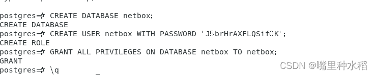 Netbox安装配置及使用_netbox部署-CSDN博客