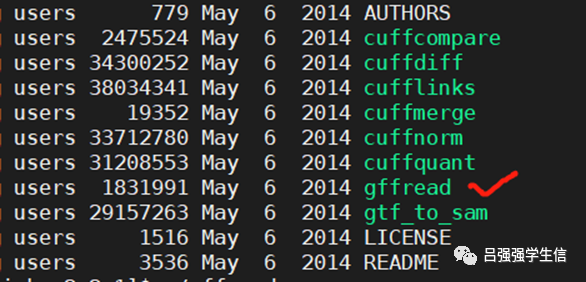 GFF/GTF简介及格式转换_gtf文件-CSDN博客