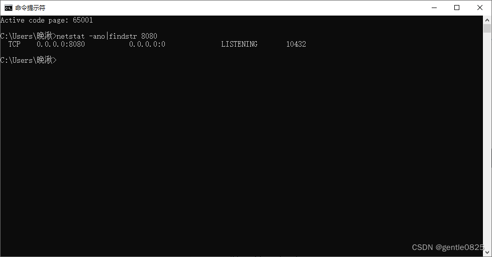 ApplicationWebServer、NIWebServiceContainer、SystemWebServer进程_applicationwebserver.exe-CSDN博客
