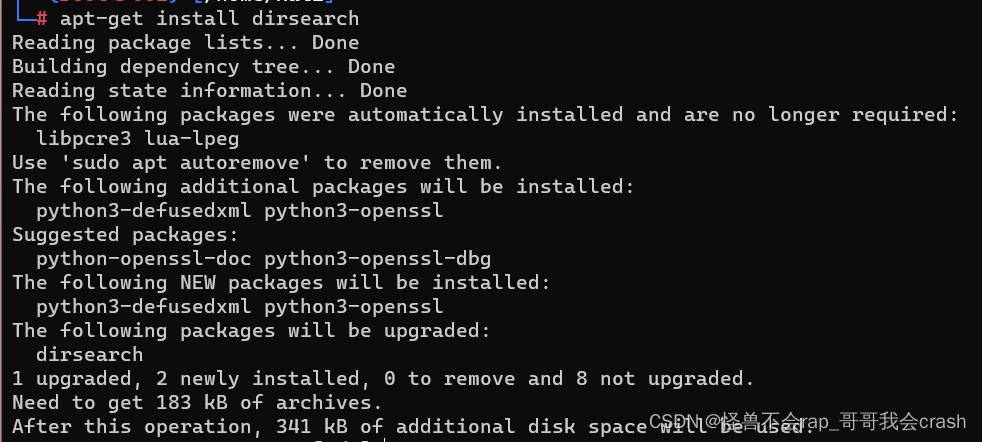 dirsearch安装及简单使用（###linux系统和windows系统）_dirsearch windows-CSDN博客