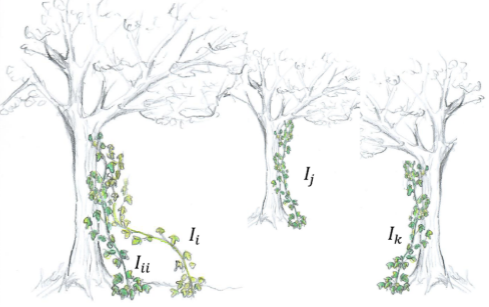 SCI一区TOP|常青藤优化算法（IVYA）原理及实现【免费获取Matlab代码】_常春藤优化算法python实现-CSDN博客