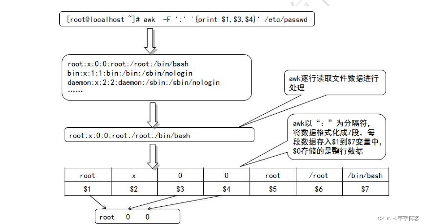 Shell 编程之正则表达式与文本处理器-CSDN博客