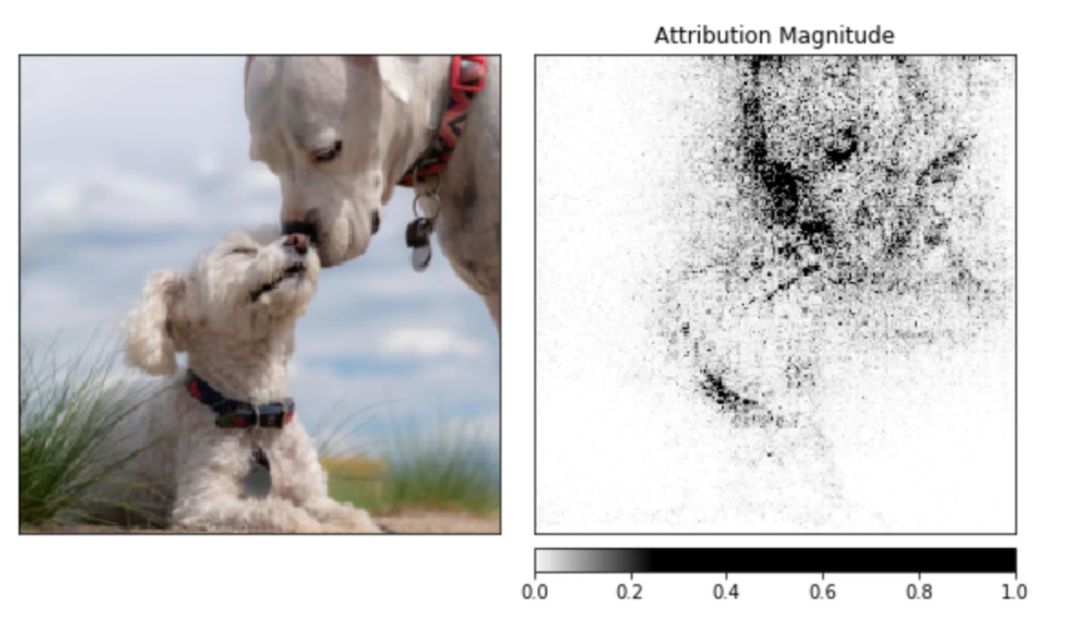 Facebook开源模型可解释库Captum，这次改模型有依据了-CSDN博客
