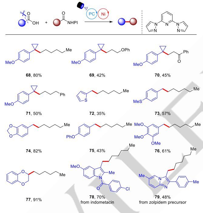「国家优青」&「长江学者」，南大谢劲最新Angew_南京大学李伟鹏-CSDN博客