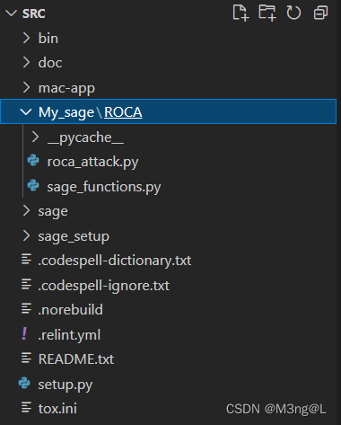 在sagemath中运行python文件_sage运行py文件-CSDN博客