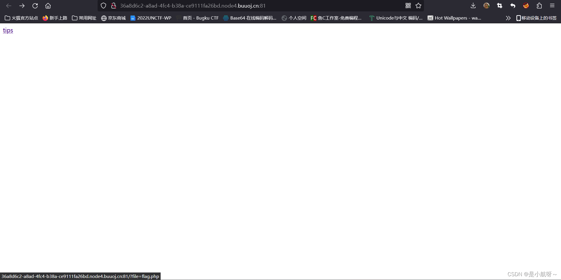 Buuctf include_buuctf includetwo-CSDN博客