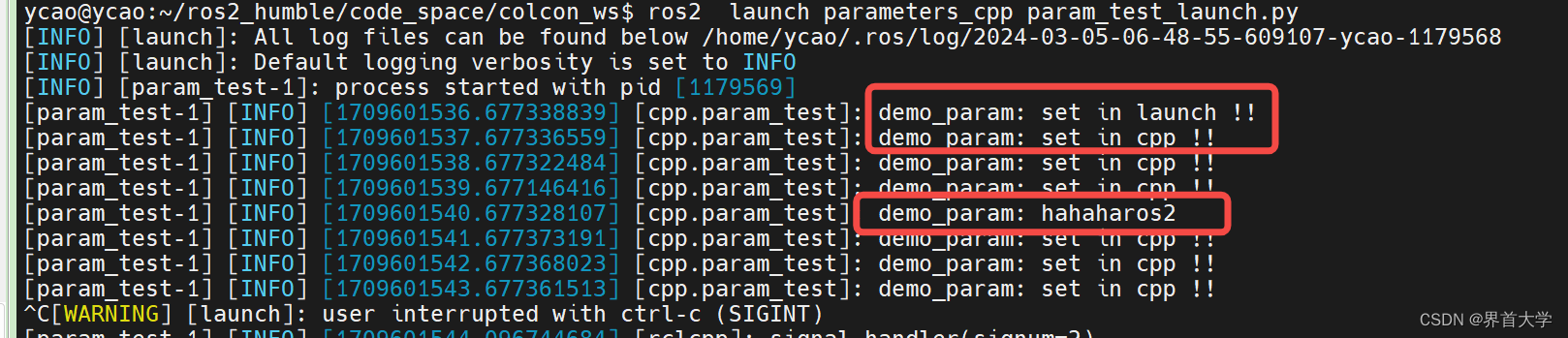 ROS2高效学习第六章 -- ros2 parameter编程-CSDN博客