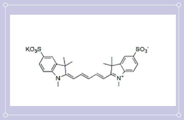 Sulfo Cyanine5 dimethyl，磺基氰基5二甲基，用途广泛的水溶性荧光染料，适合广泛的药物研发应用_—so3是什么官能团-CSDN博客