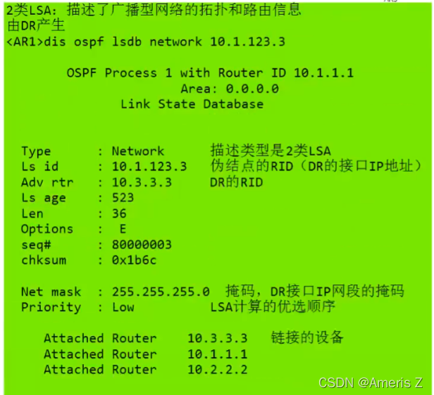 【ospf路由计算（一类LSA-router、二类LSA-Network、三类LSA-sum-Net）】-20211228-30-CSDN博客