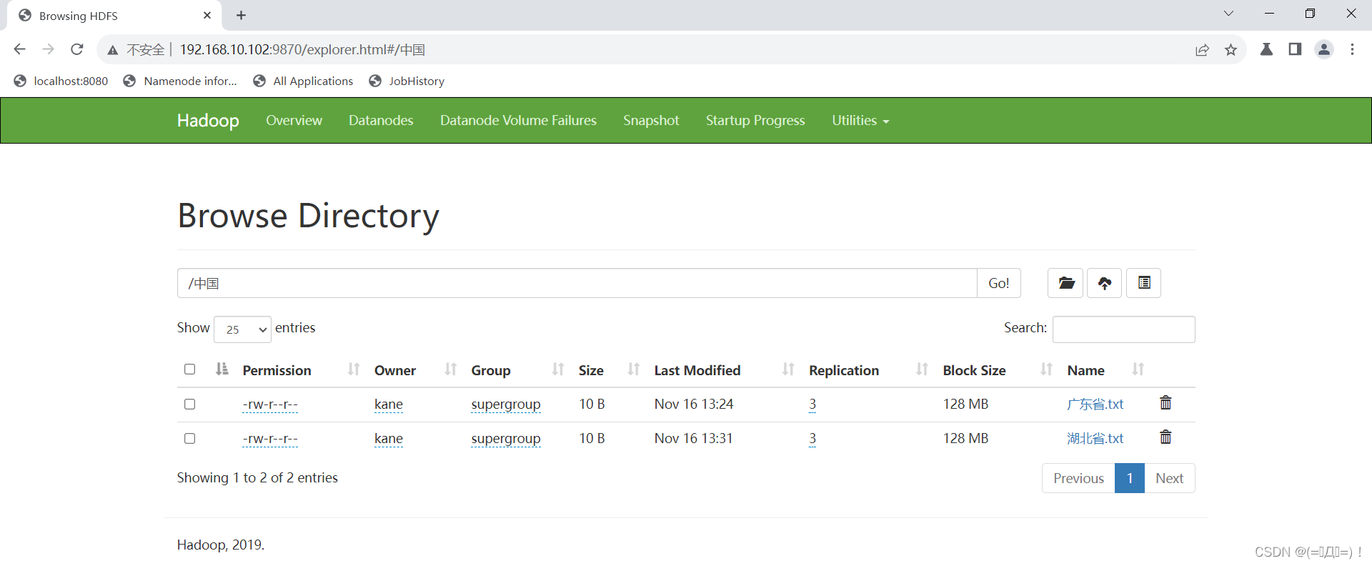 Hadoop 之 HDFS 的Shell操作（开发重点）06_usage: hadoop fs [generic options] -put [-f] [-p] -CSDN博客