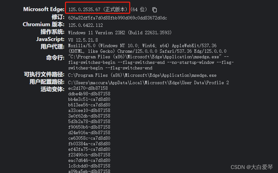 Selenium安装WebDriver最新Chrome驱动(含116/117/118/119)_webdriver.chrome.driver-CSDN博客